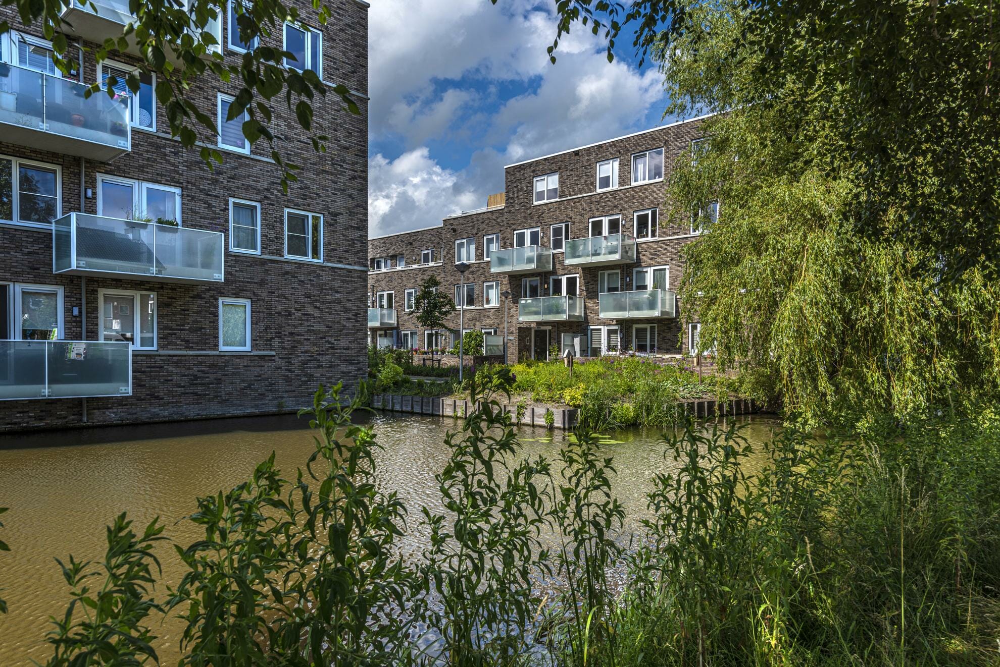 Brittenstein - RAP Leiden